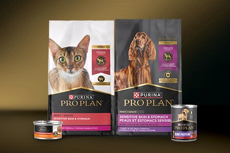 Pro Plan Vet Direct | Homepage