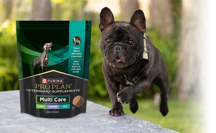 Purina Prescription Dog and Cat Food | Pro Plan Vet Direct